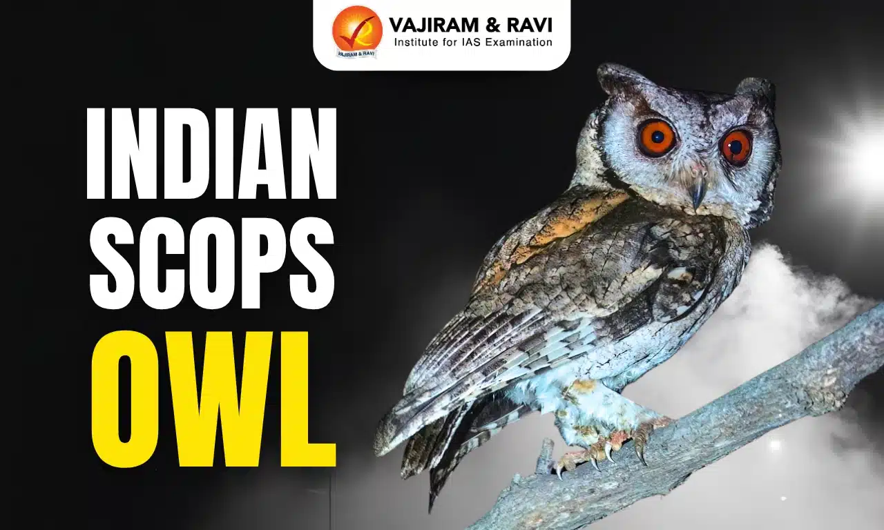 Organisation of Islamic Cooperation, Members, Headquarter, Countries, News