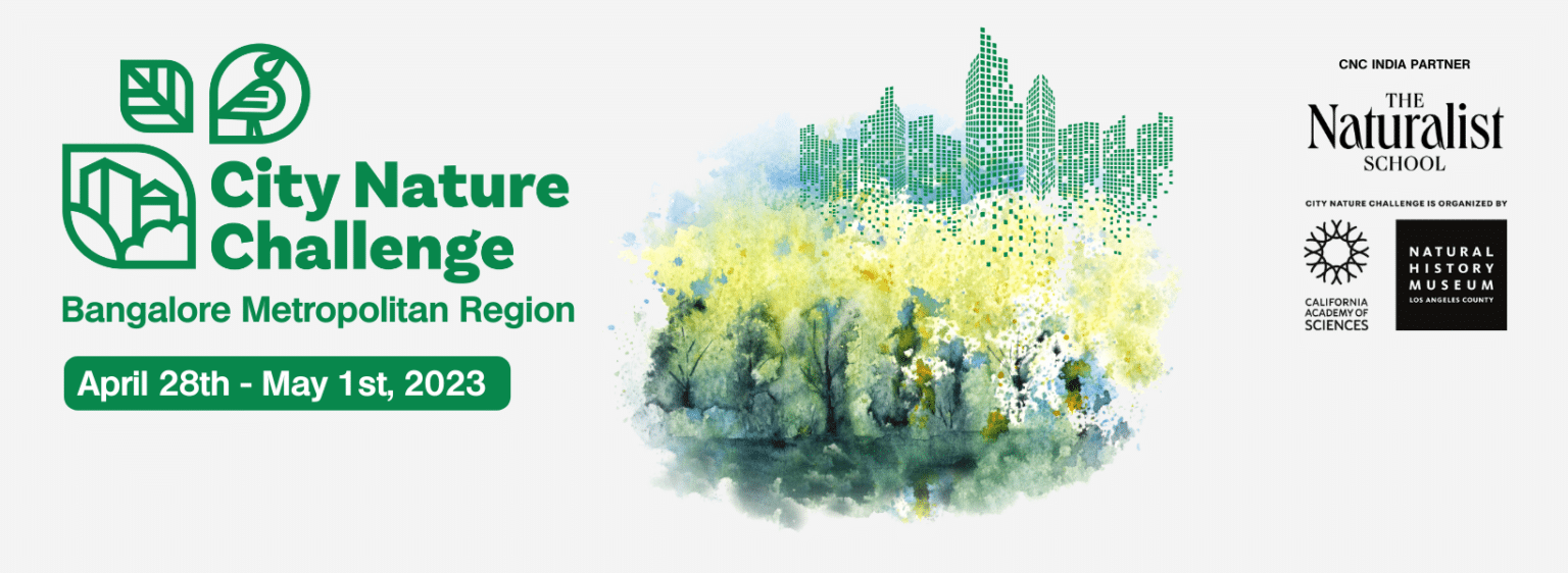 City Nature Challenge