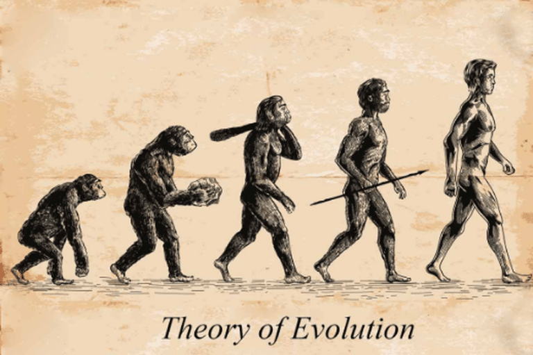 What is Charles Darwin’s Theory of Evolution?