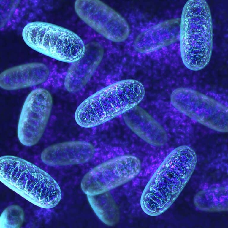 What is Mitochondrial Replacement Therapy (MRT)?