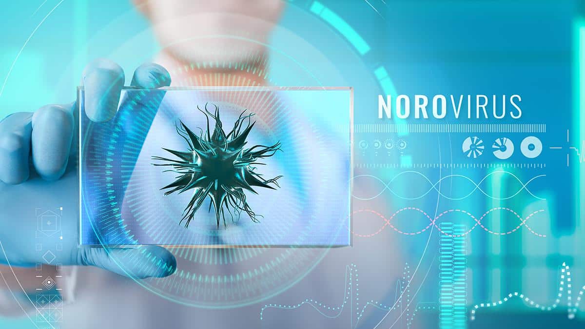 What is Norovirus?