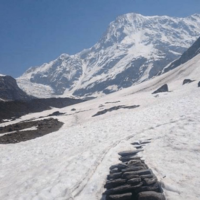 Where is Pindari Glacier?
