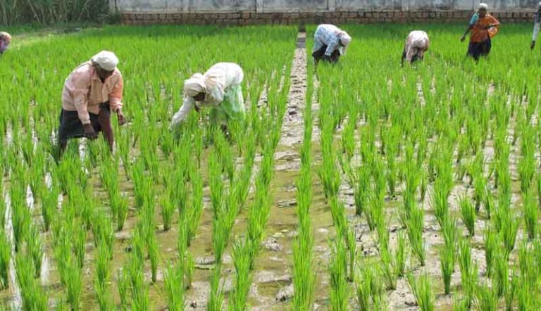 Agriculture Infrastructure and Development Cess (AIDC)