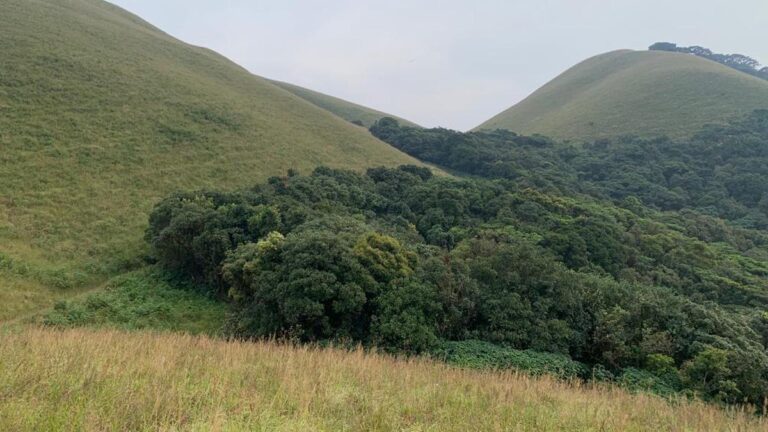 Forest (Conservation) Amendment Bill, 2023