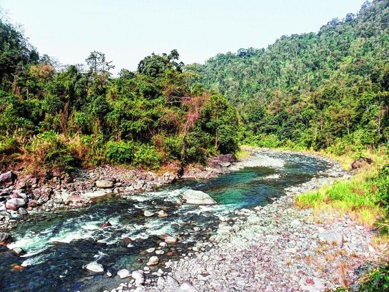 Kamlang Tiger Reserve