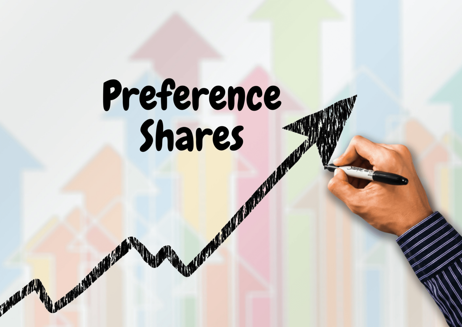 Non-Convertible Redeemable Preference Shares (NCRPS)