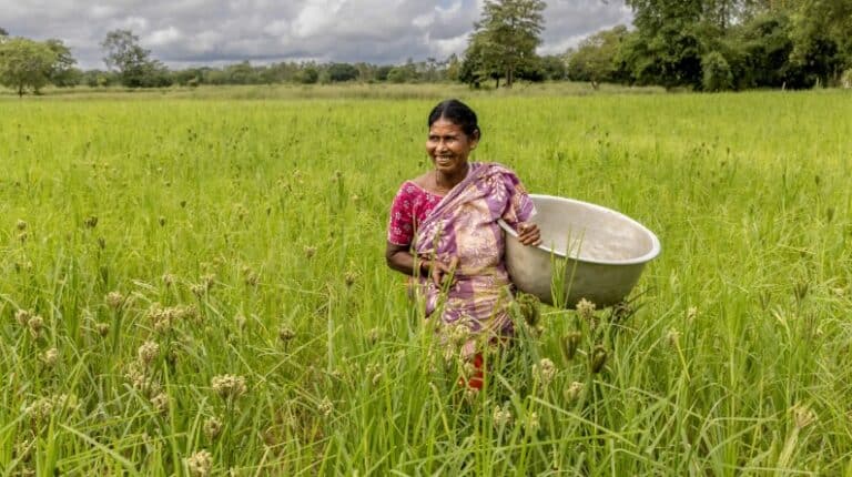 Primary Agricultural Credit Societies