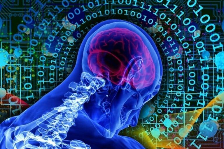 What are Bio-computers?