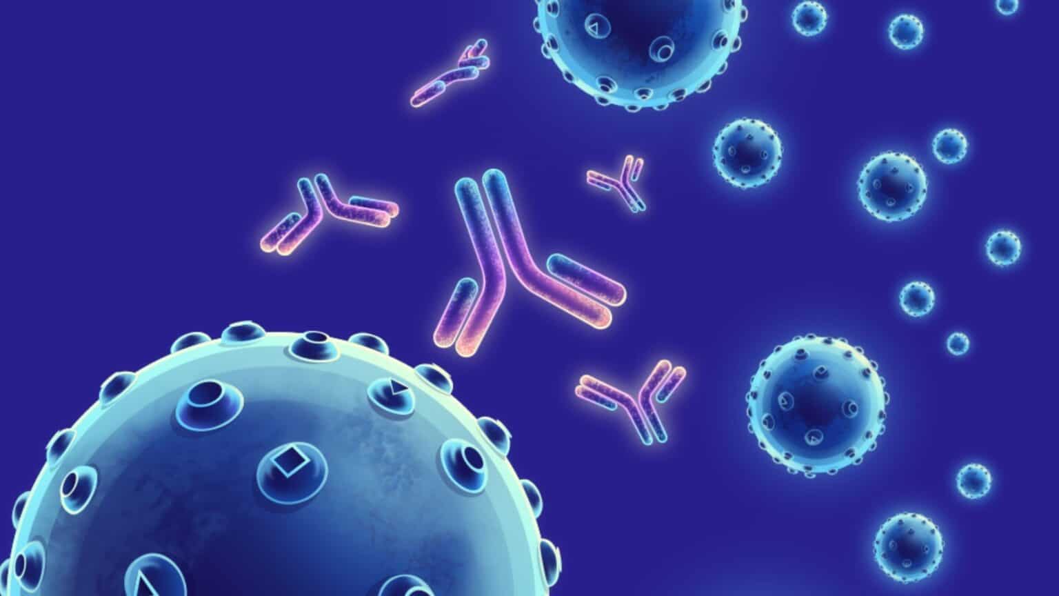 What are Monoclonal Antibodies?