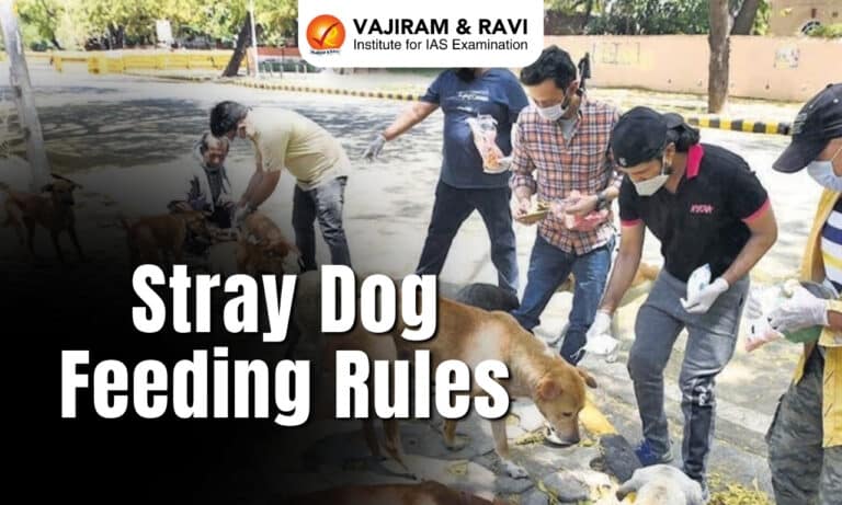 Stray Dog Feeding Rules, Balancing Compassion and Public Safety