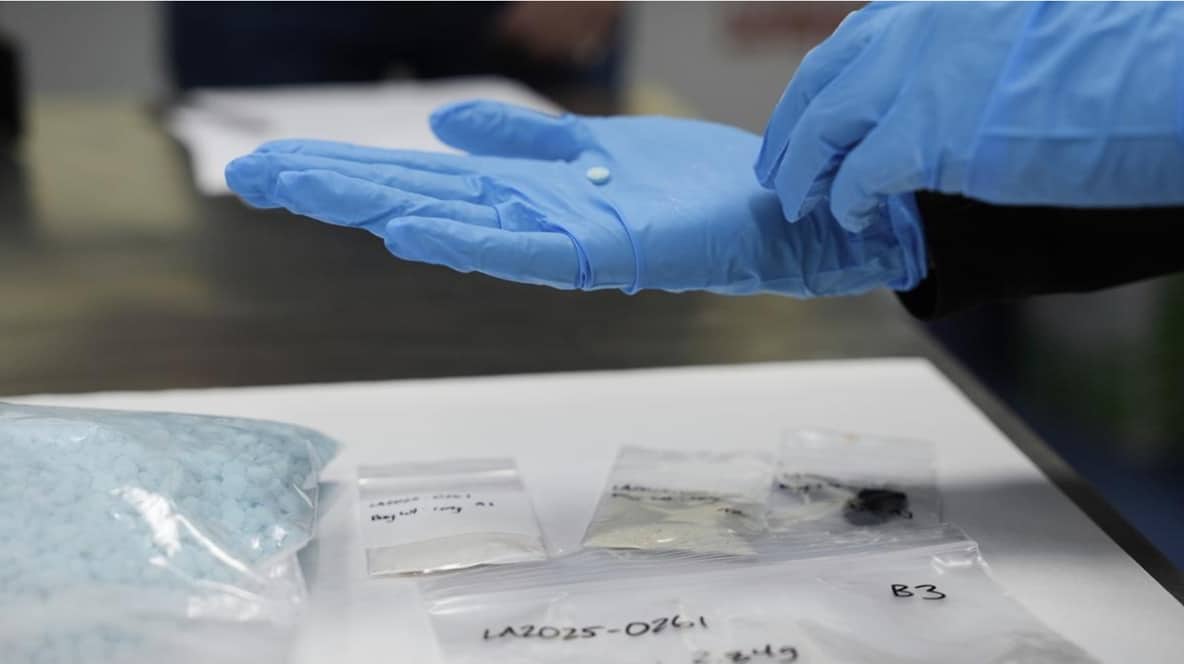 Debate on Education Placement: State List vs. Concurrent List Explained