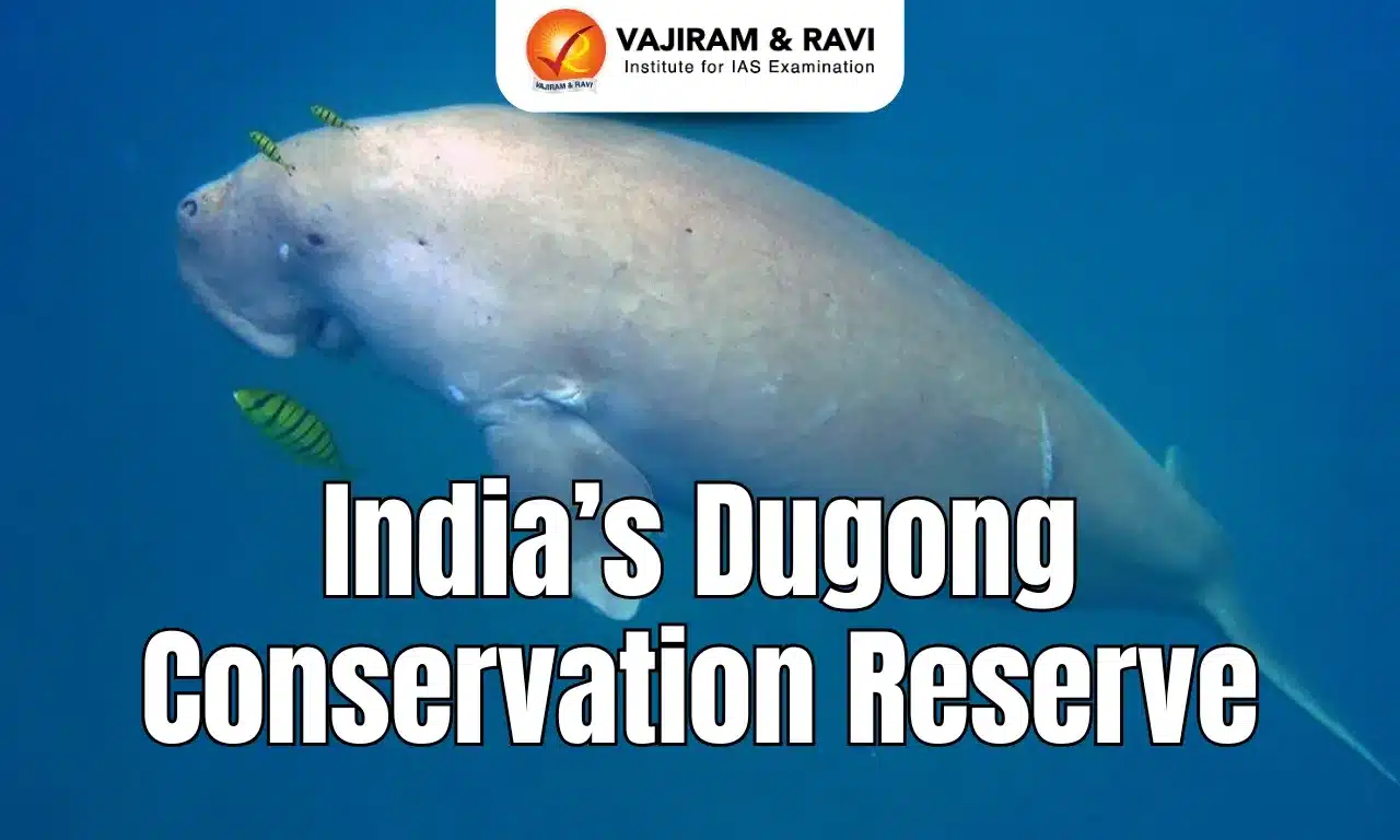 India’s Dugong Conservation Reserve, Habitat, Key Facts, Conservation