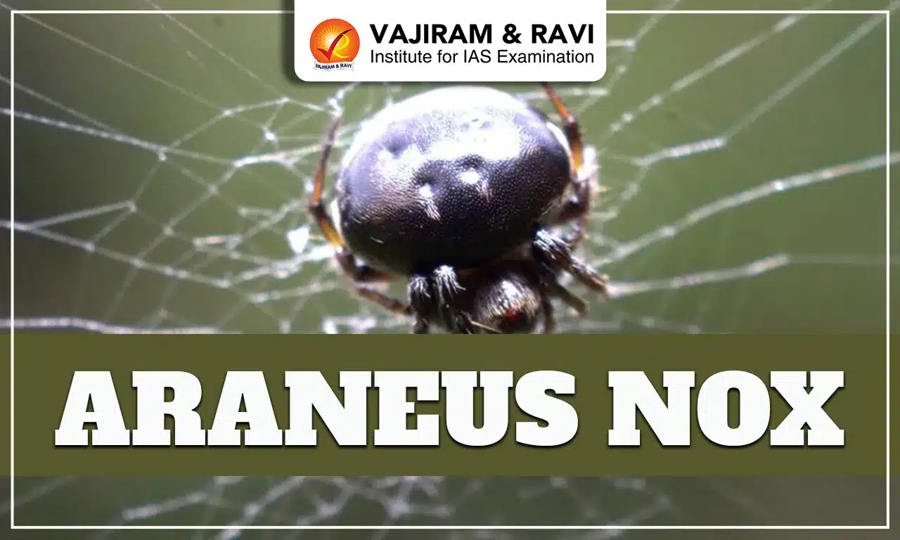 What is the BPaLM Regimen?