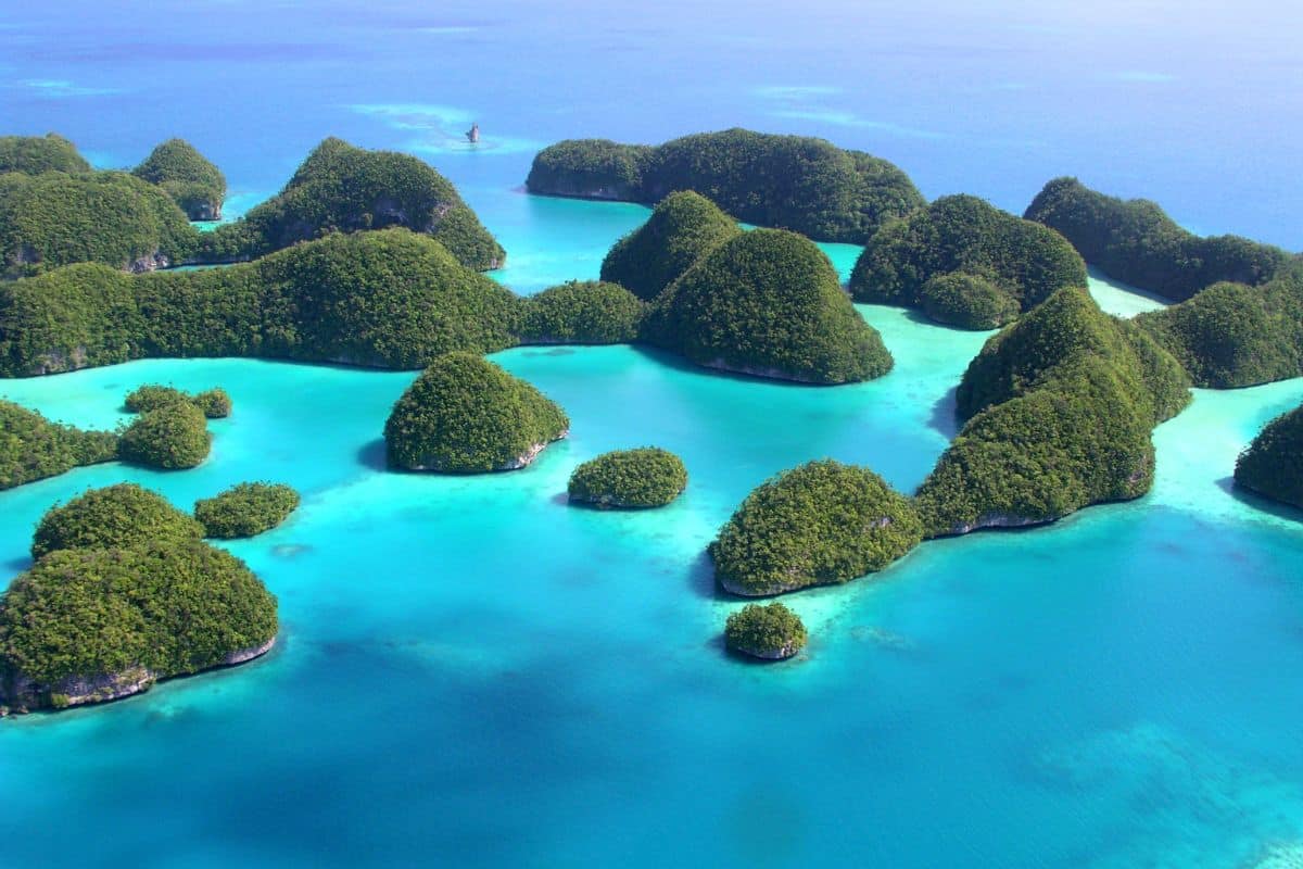 What is Paleolithic Period?