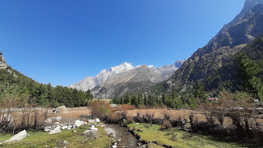 Pardhi Community, History, Language, Beliefs