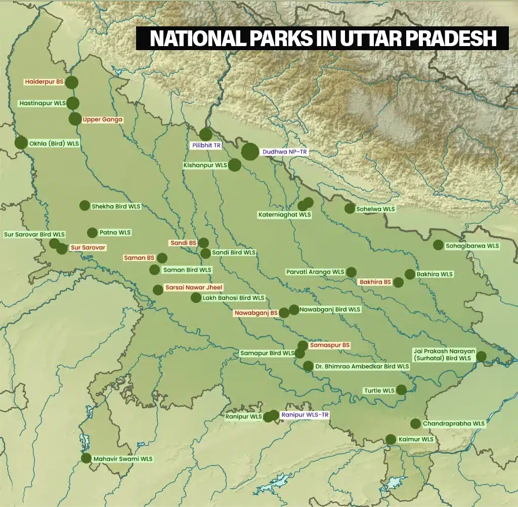 National Parks in Uttar Pradesh, Tiger Reserves, Wildlife Sanctuaries