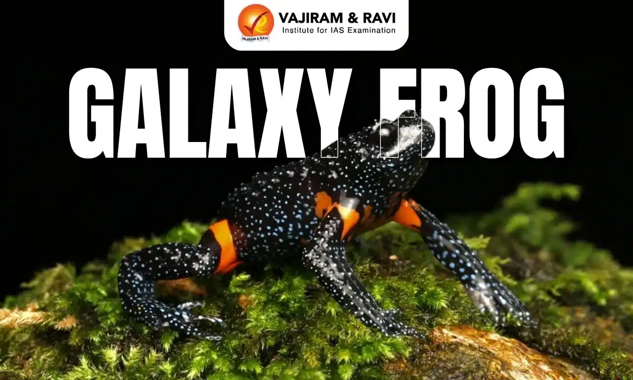 Galaxy Frog, Scientific Name, Habitat, Size, Latest News