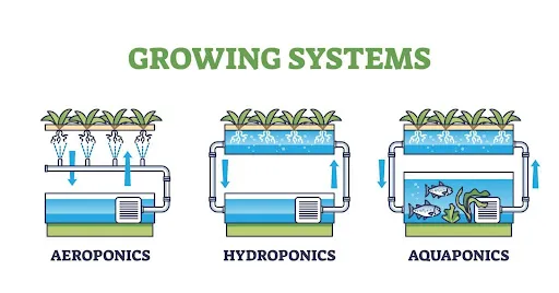Vertical Farming, Meaning, Method, Hydroponics, Aeroponics, Aquaponics