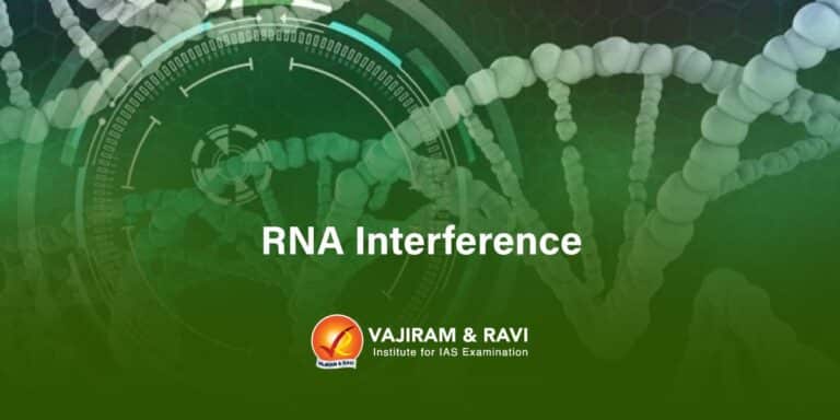 RNA Interference (RNAi) - Mechanism, Steps, and Applications
