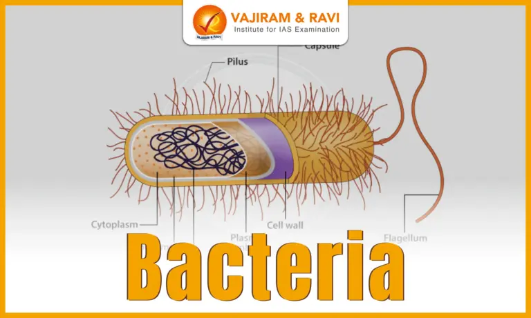 Bacteria, Definition, Diagram, Examples, UPSC Notes