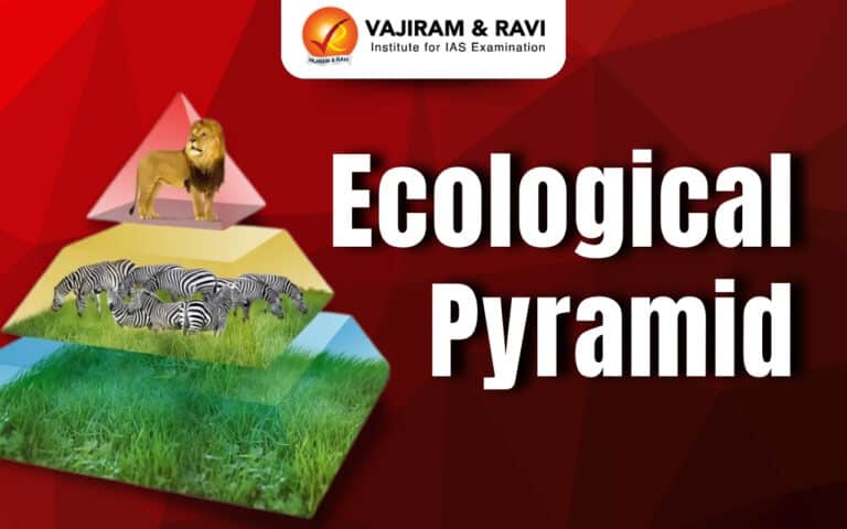 Ecological Pyramid, Meaning, Types, Example, UPSC Notes